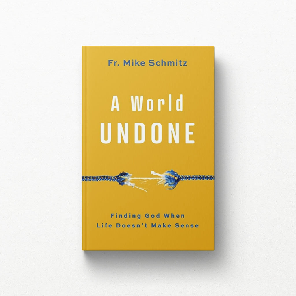 A World Undone: Finding God When Life Doesn't Make Sense