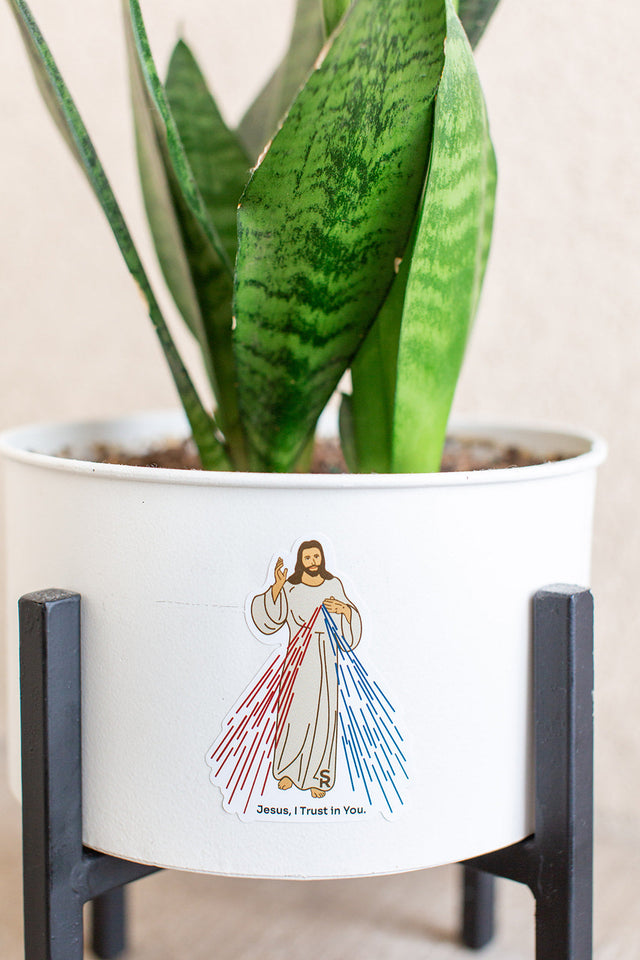 Divine Mercy Sticker 10 Pack